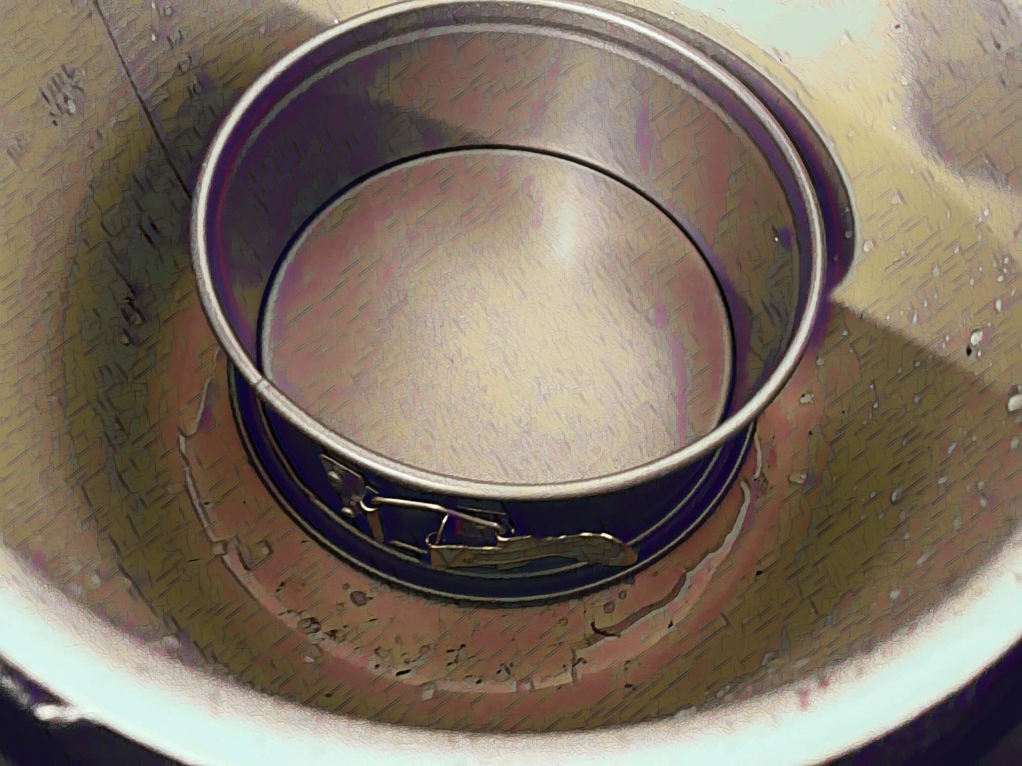 Can You Use Regular Pans in the Ninja Foodi? Foodie Results