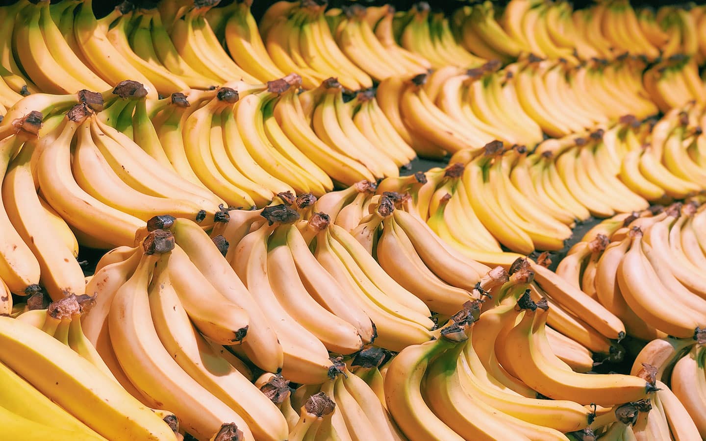 How Many Bananas in a Bunch? And More! - Foodie Results